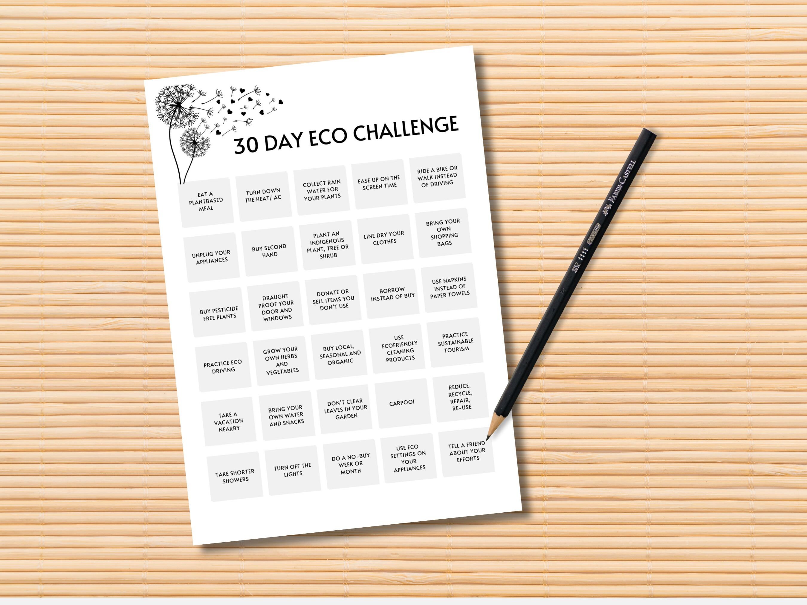 30 Day Eco Challenge - Etsy