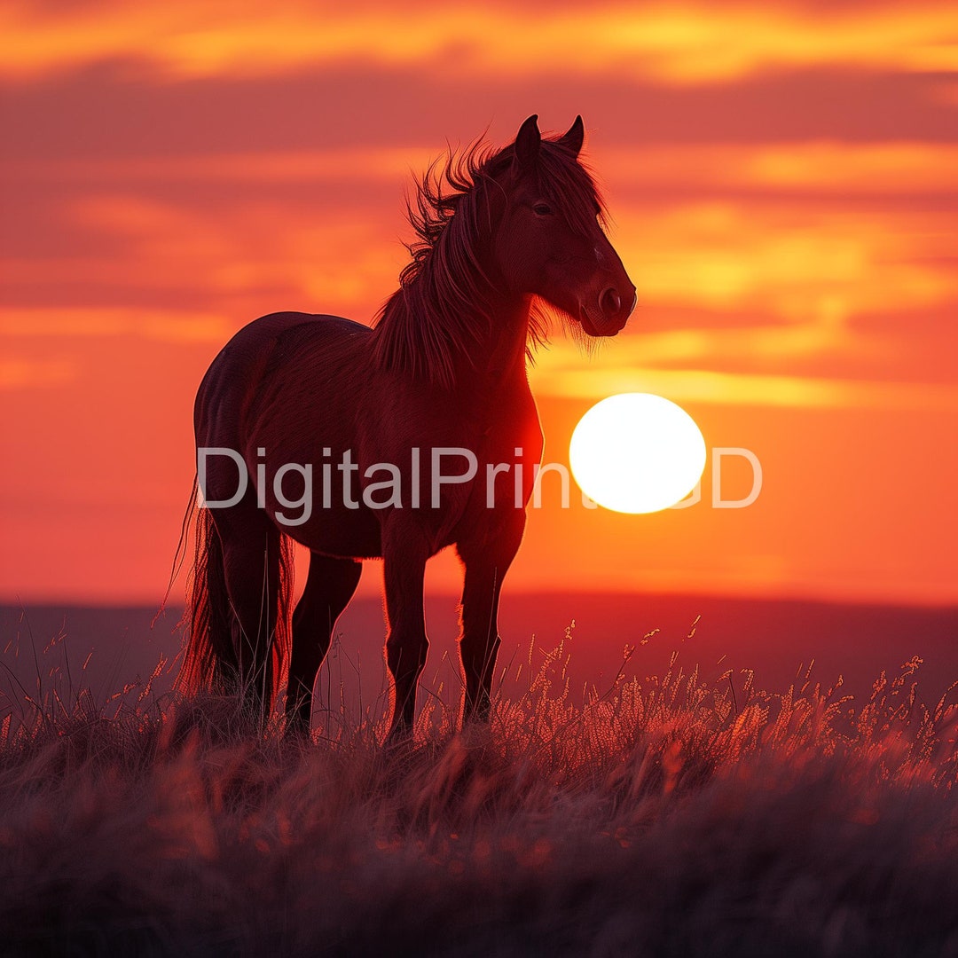 Przewalski Horse , Horse Digital Print, Sunset Horse Art, Horse Sunset ...