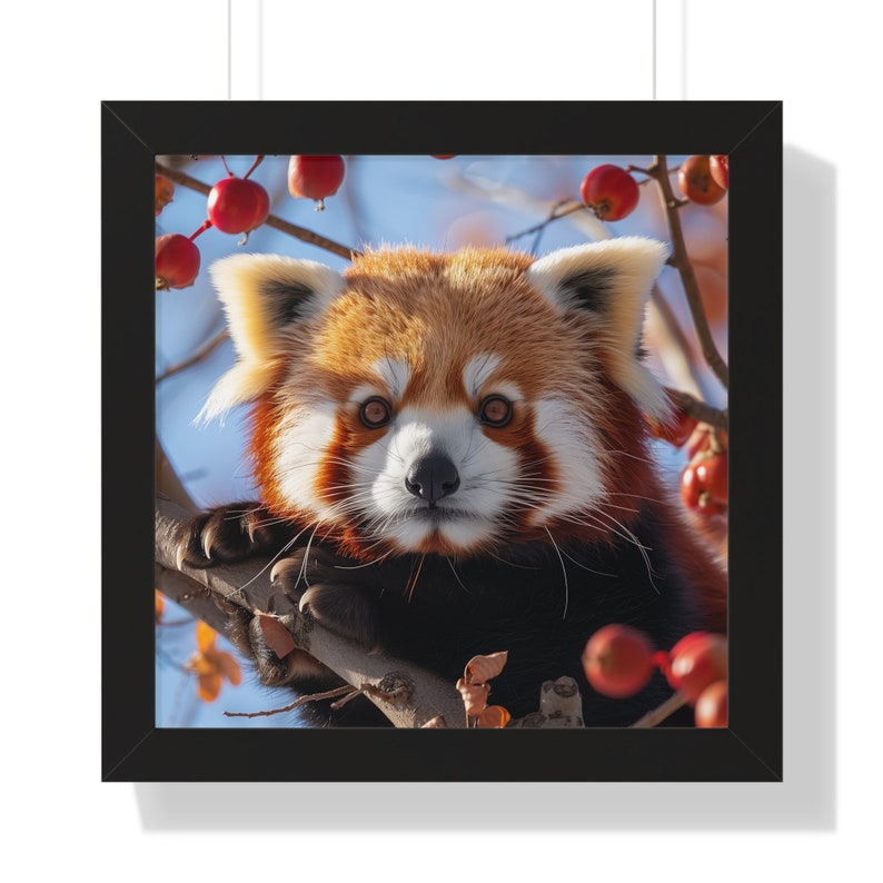 Red Panda Print: Forest Wildlife Photography (digital Download) - Etsy