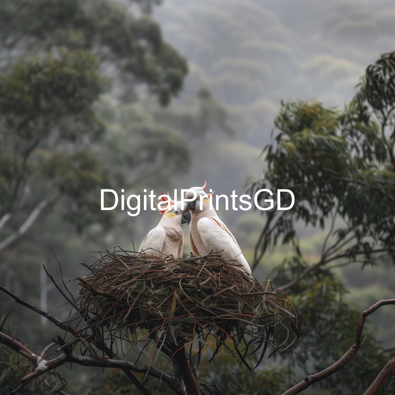 Red-vented Cockatoo Print Vibrant Bird Photography, Rare Philippine ...