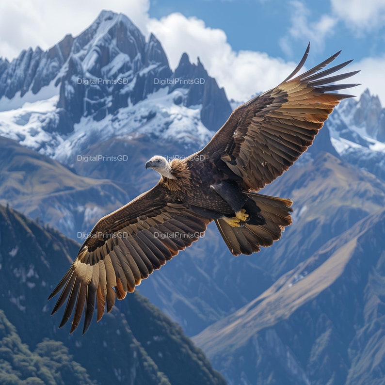 Majestic Eagle in Flight Over Mountains, Stunning Wildlife Art Print ...