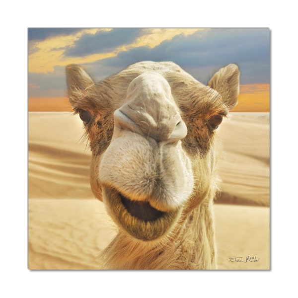 Camel Canvas - Etsy