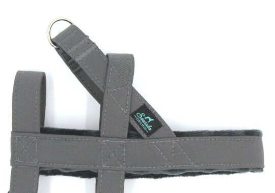 Gray Solid Norway Dog Anti Escape Harness, Triple Harness, Safe Harness ...