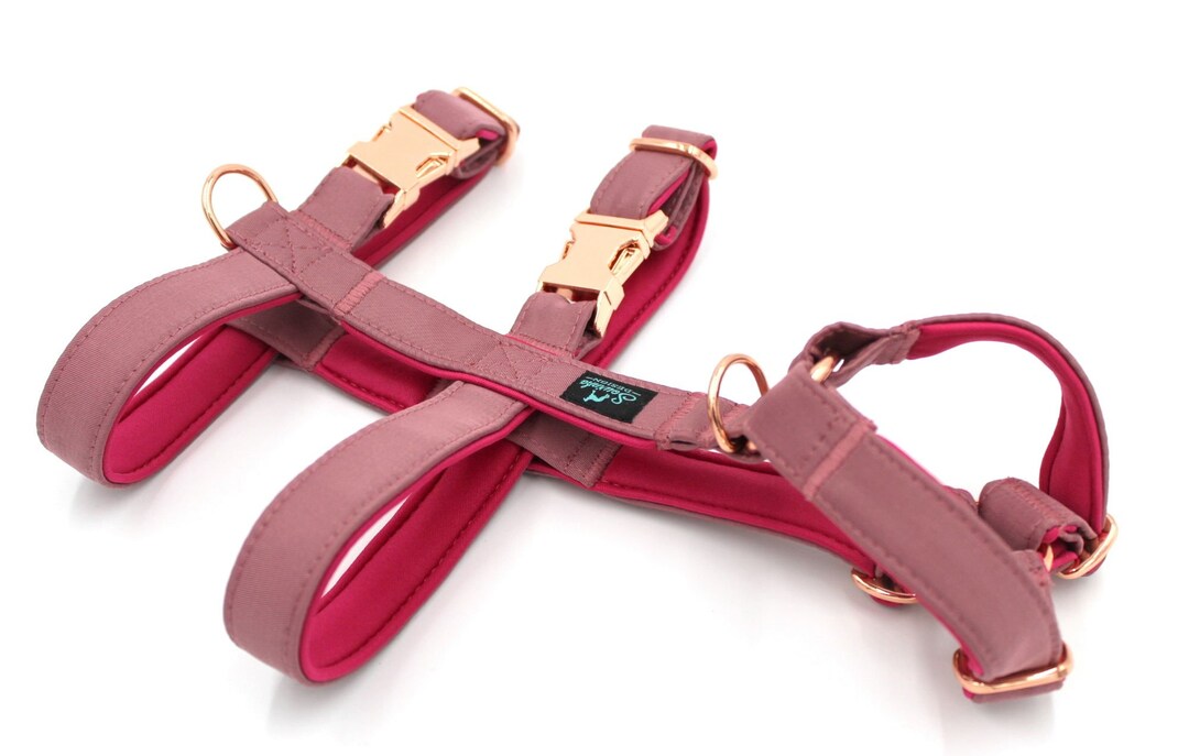 Dog Anti Escape Harness, Triple Harness, Safe Harness, Dog Harness ...