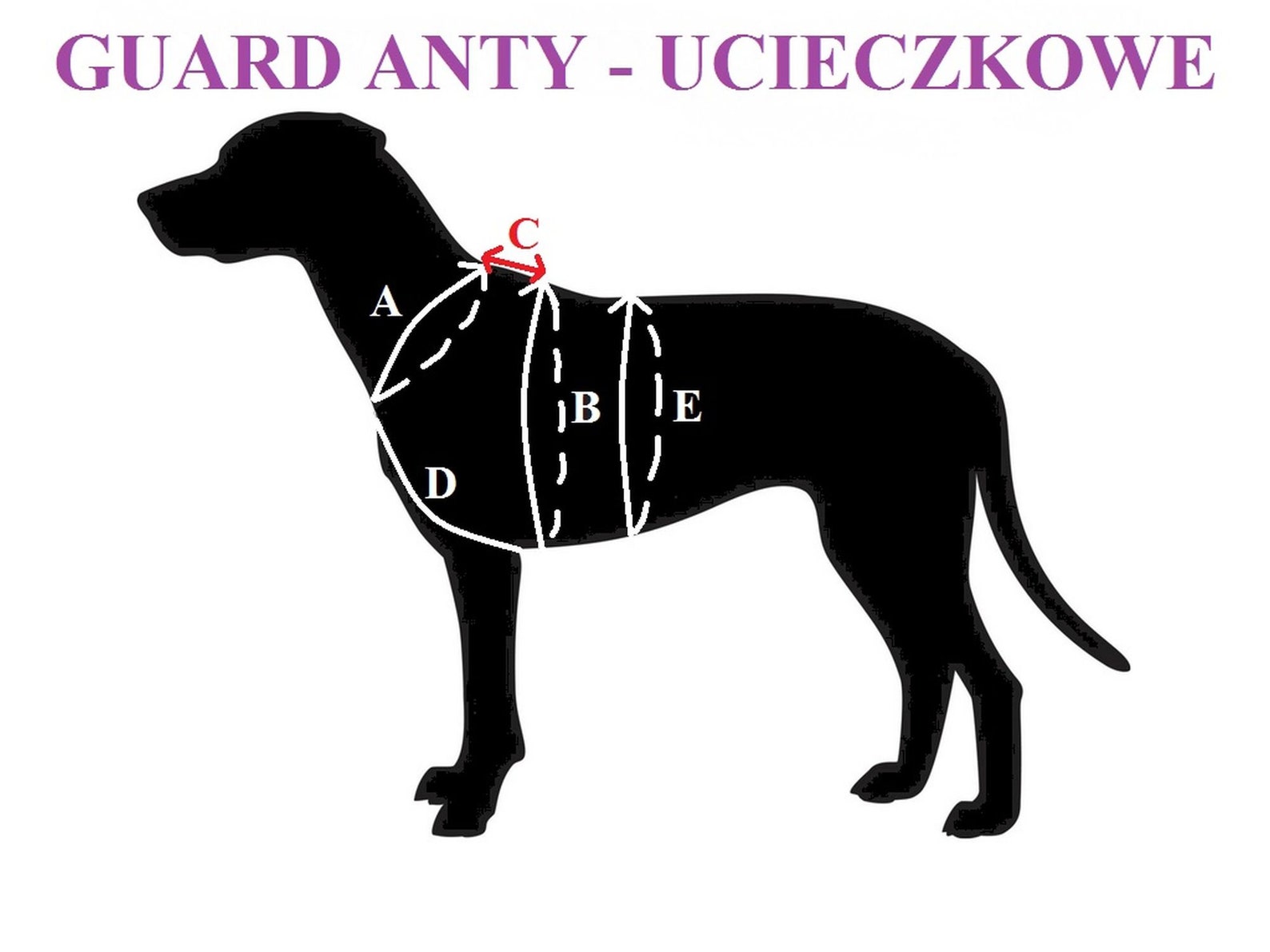 Dog Anti Escape Harness, Triple Harness, Safe Harness, Dog Harness ...