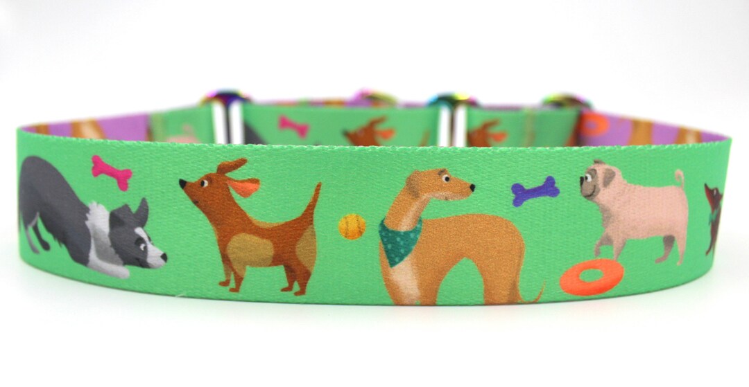 Funny Dog Collar, Dog Snap Collar, Martingale Dog Collar, Greyhound ...