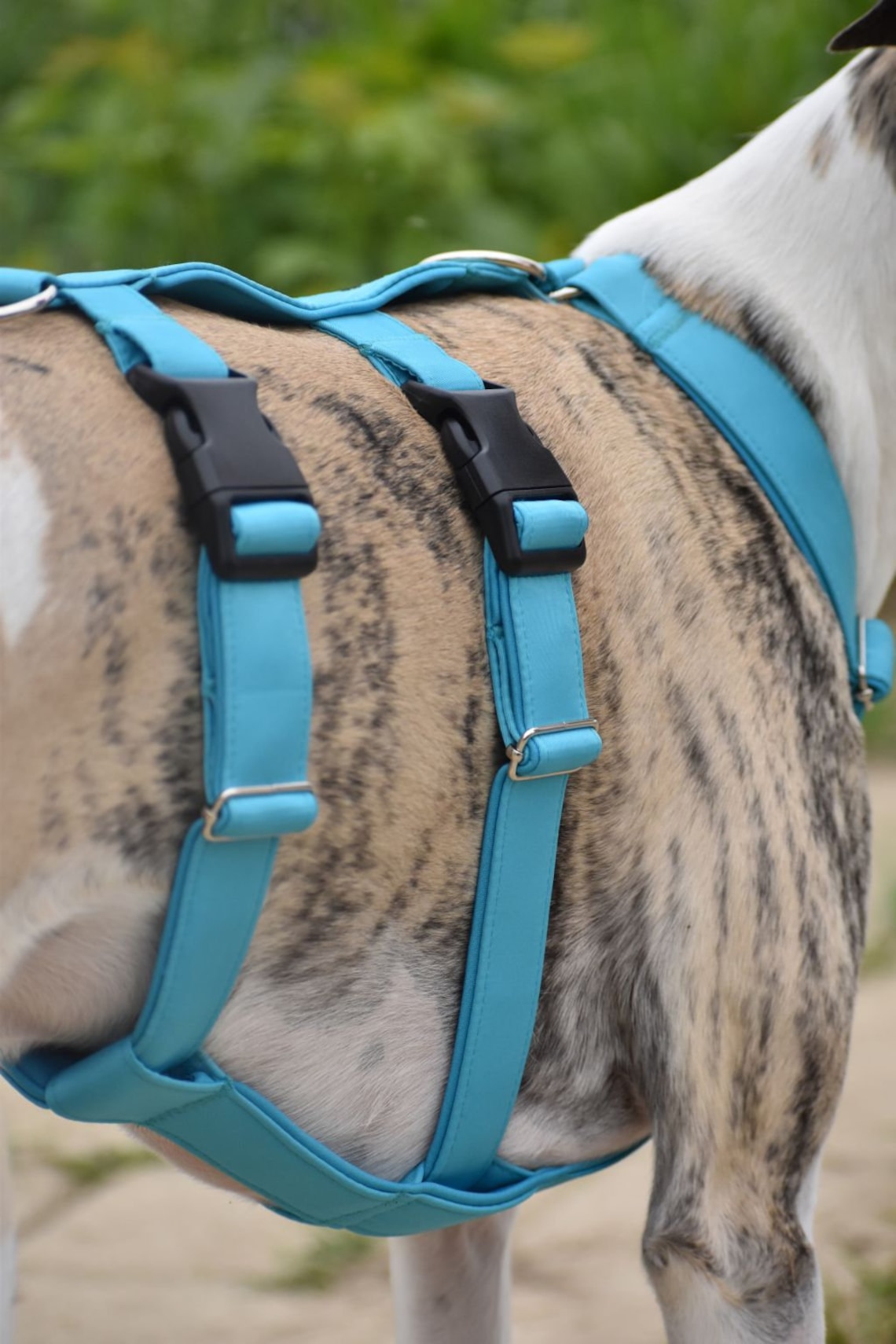 Blue Dog Anti Escape Harness, Triple Harness, Safe Harness, Dog Harness ...