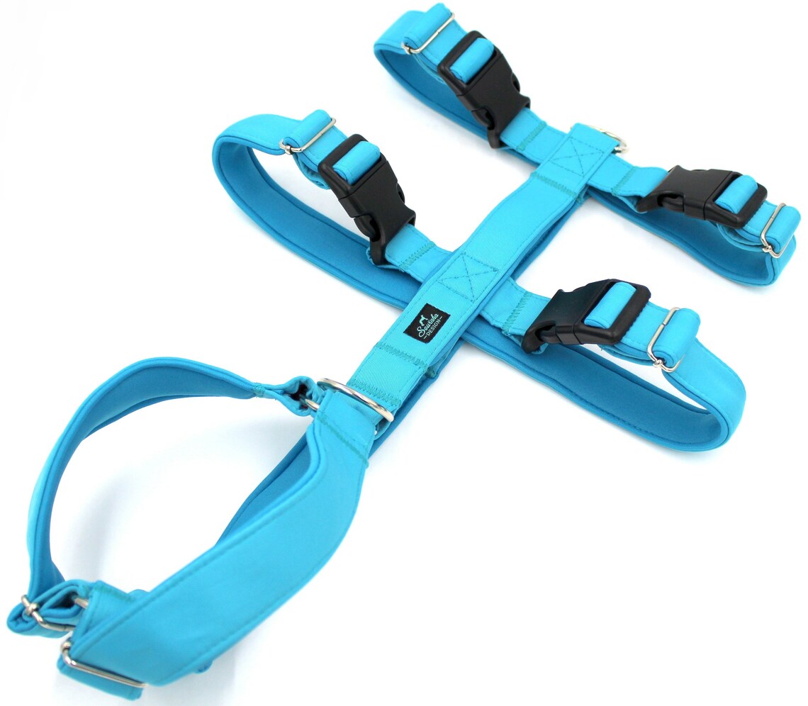 Blue Dog Anti Escape Harness, Triple Harness, Safe Harness, Dog Harness ...