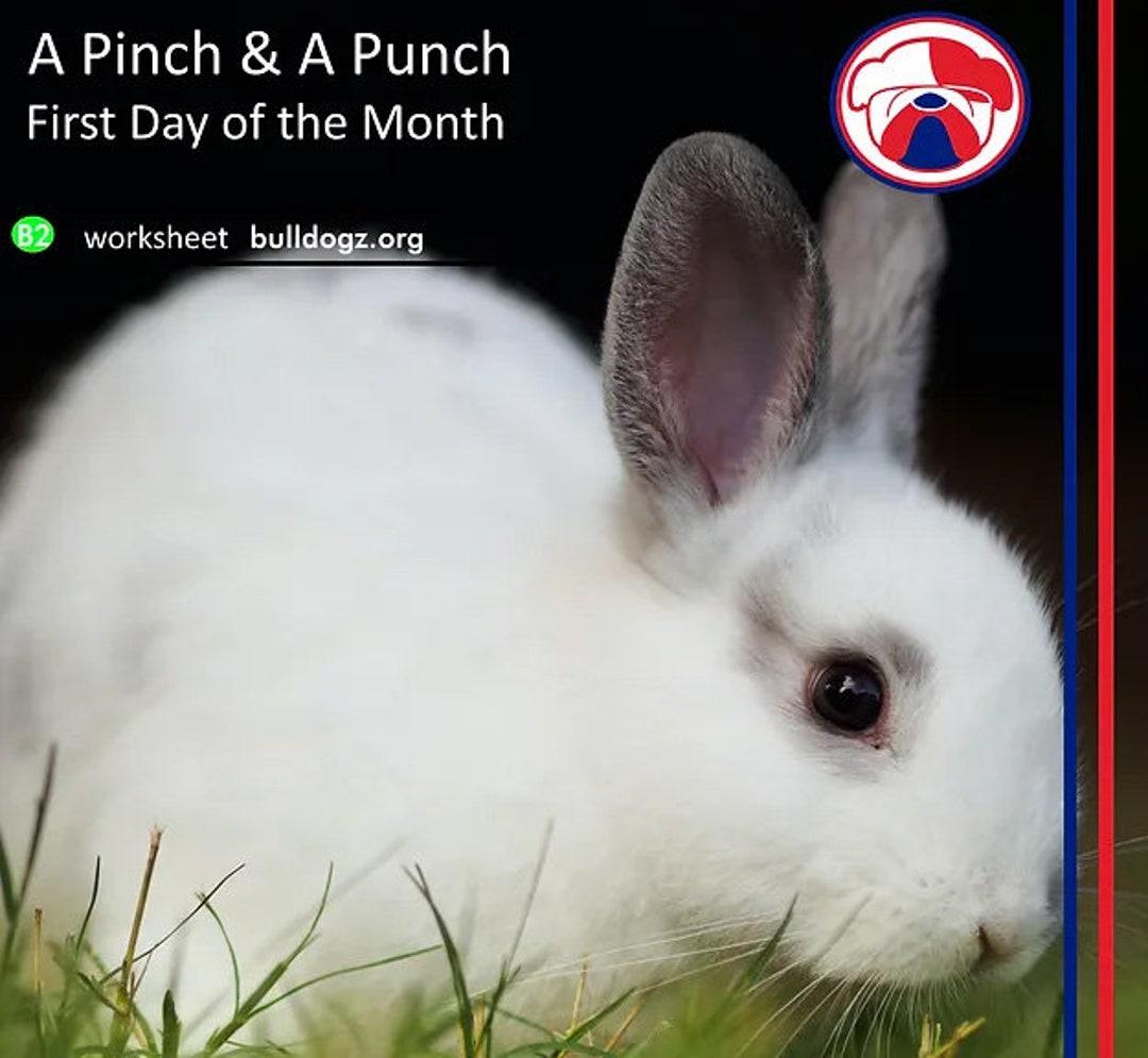 B2 Worksheet - A Pinch & a Punch - Etsy