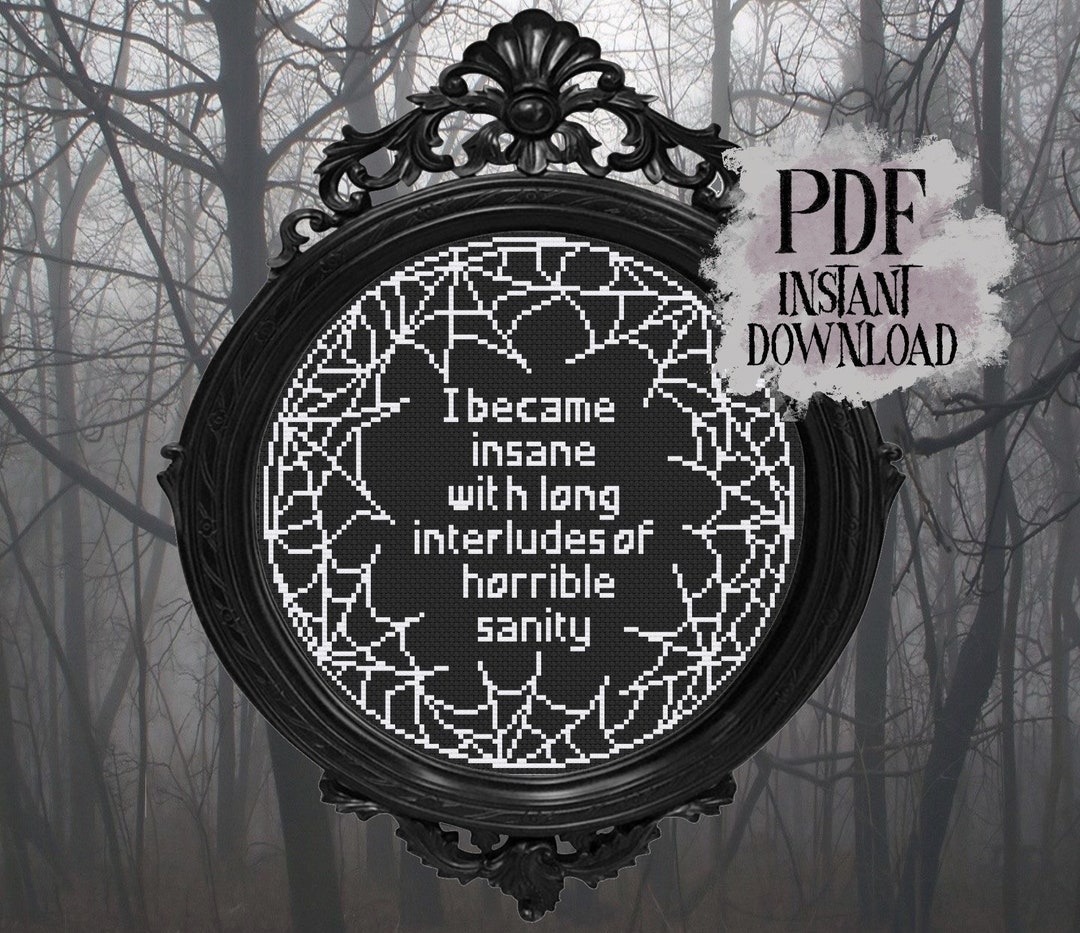 Spiderweb Insanity Cross Stitch Pattern, PDF, Crochet, Needlepoint ...