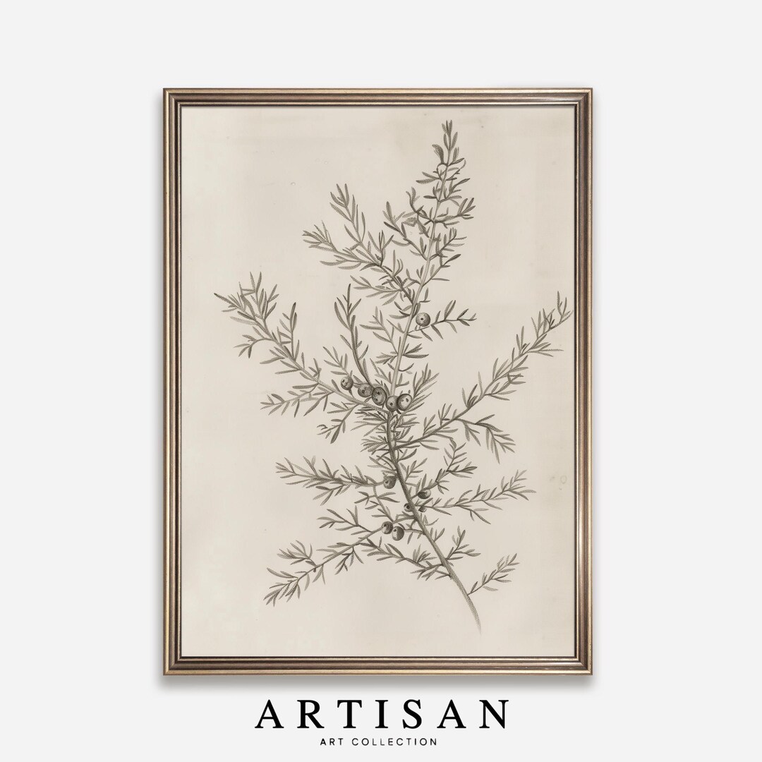 Olive Branch Print, Floral Wall Print, Flowers Print, Olive Branch Art ...