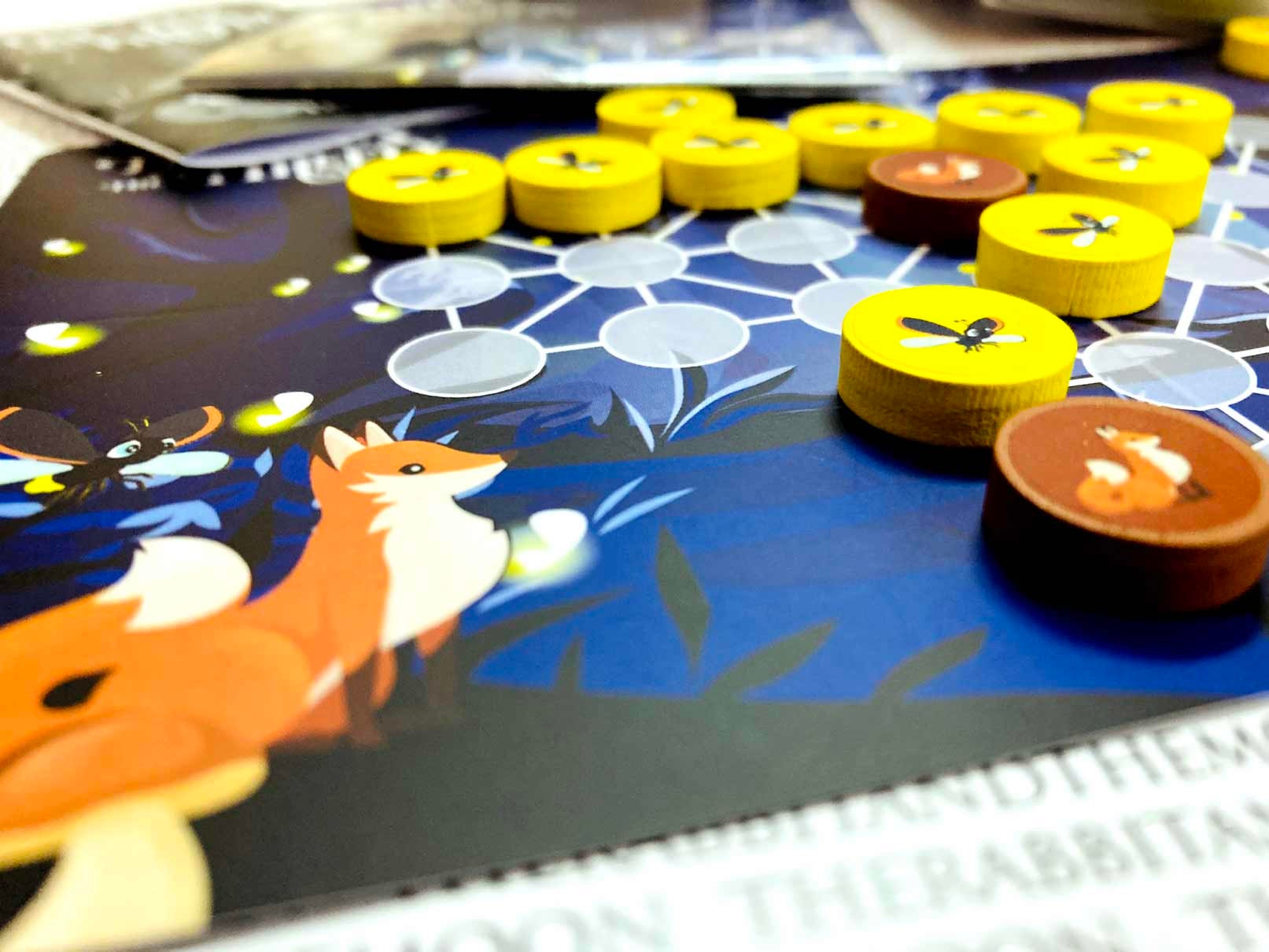 The Fox and the Firefly Board Game, Family Game, Travel Game, Holiday ...