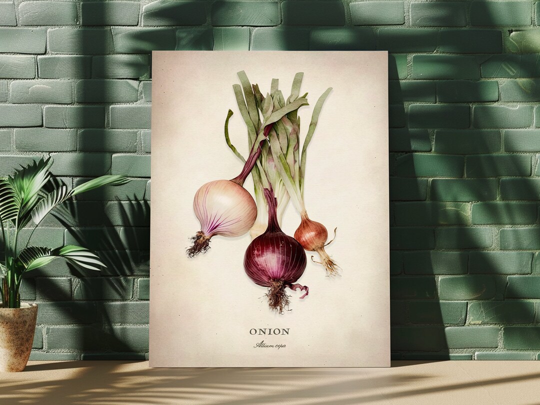 Vegetable Wall Art, Onion Fine Art, Kitchen Home Decor, Premium Matte ...