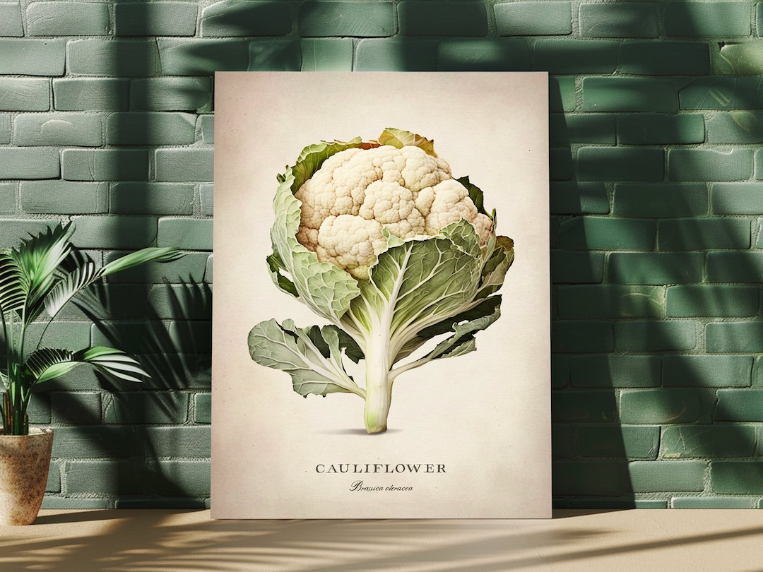 Vegetable Wall Art, Cauliflower Fine Art, Kitchen Home Decor, Premium ...