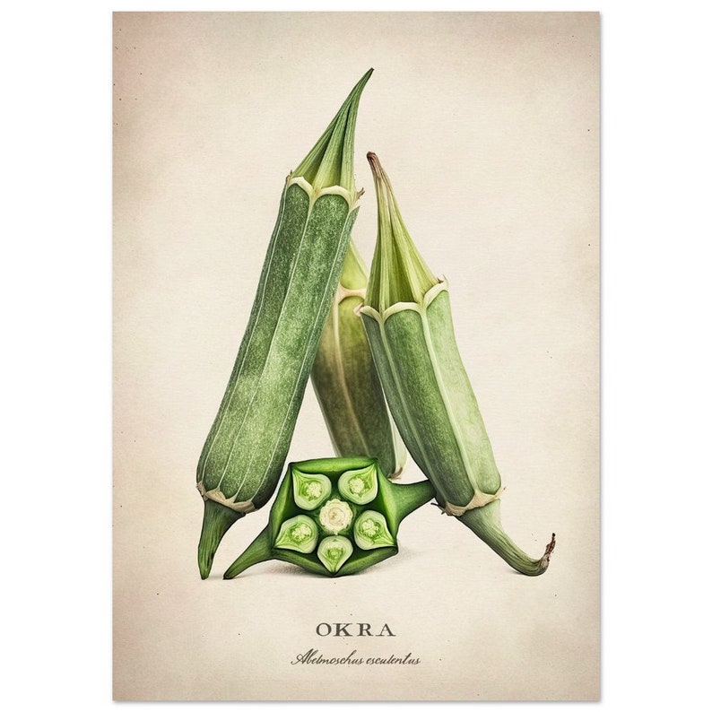 Vegetable Wall Art, Okra Fine Art, Kitchen Home Decor, Premium Matte ...
