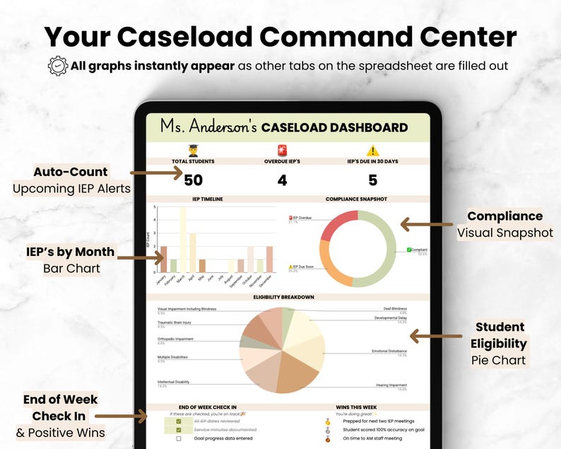IEP Goals & Caseload Tracker Google Sheet, SPED Teacher Data Tracker ...