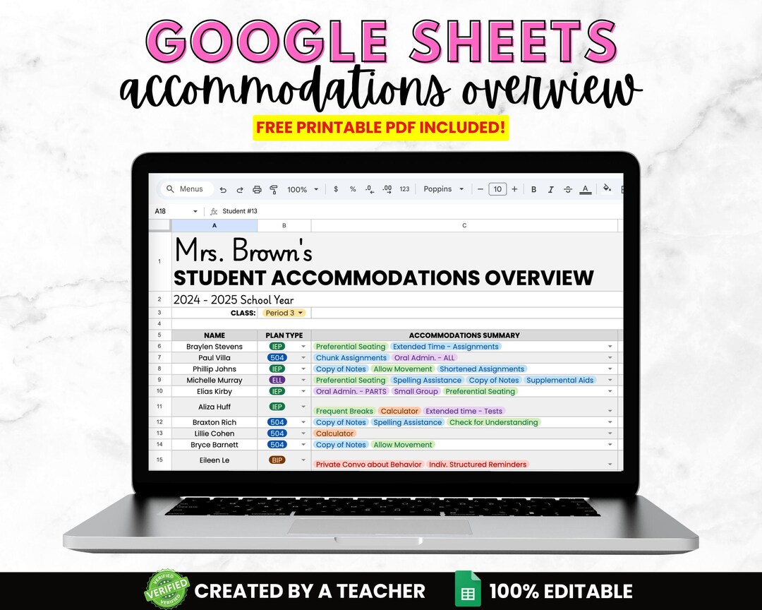 Digital Student Accommodation Overview Sheet for Teacher | Google ...