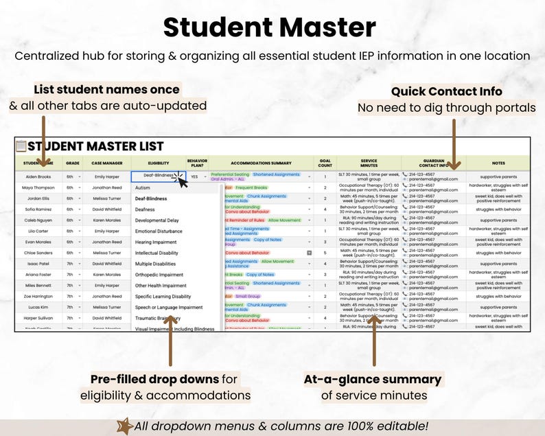 IEP Goals & Caseload Tracker Google Sheet, SPED Teacher Data Tracker ...
