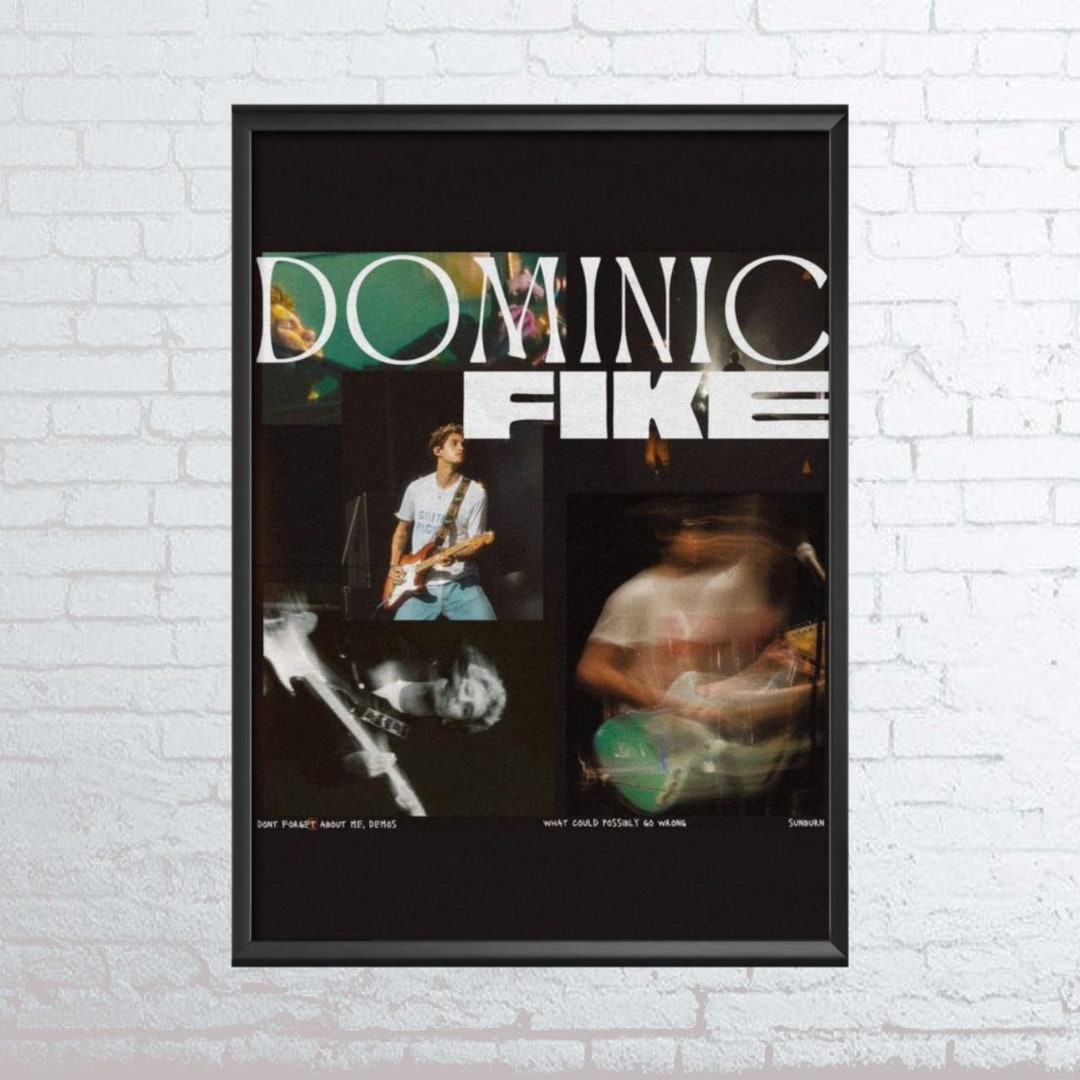 Dominic Fike A3 Poster - Etsy