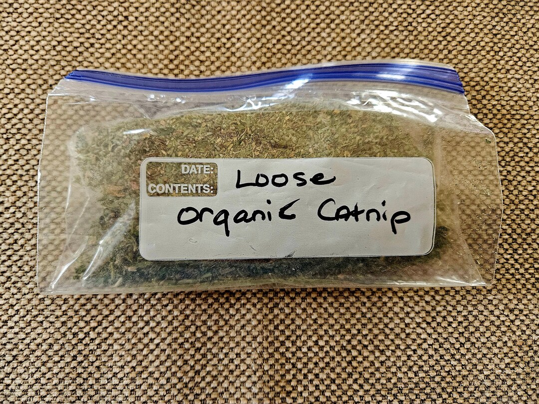Loose Bagged Organic Catnip - Etsy