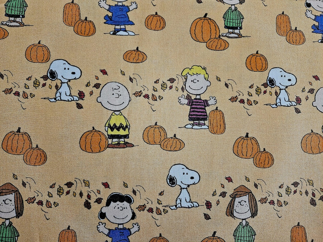 PEANUTS PUMPKIN PATCH Catnip Blanket - Etsy