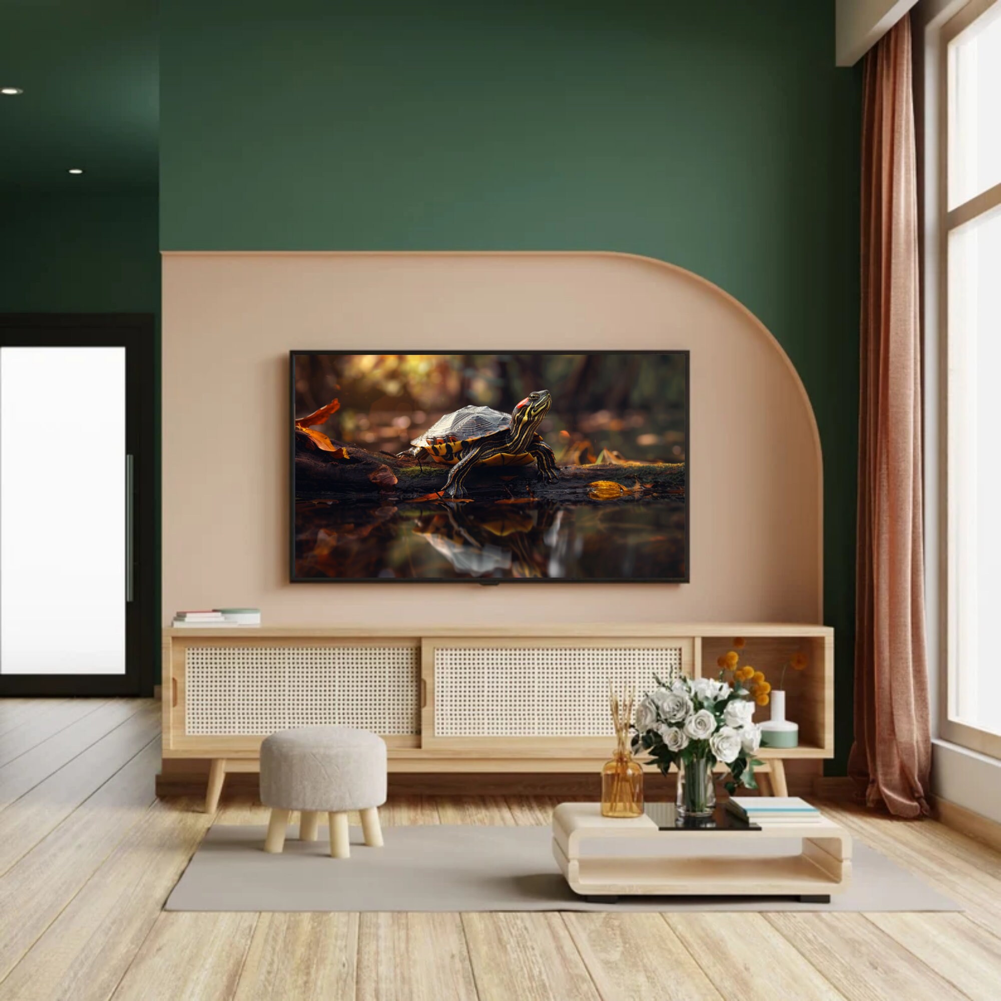 Samsung Frame TV | Red-eared Slider PNG Bundle | Digital Download | Red ...