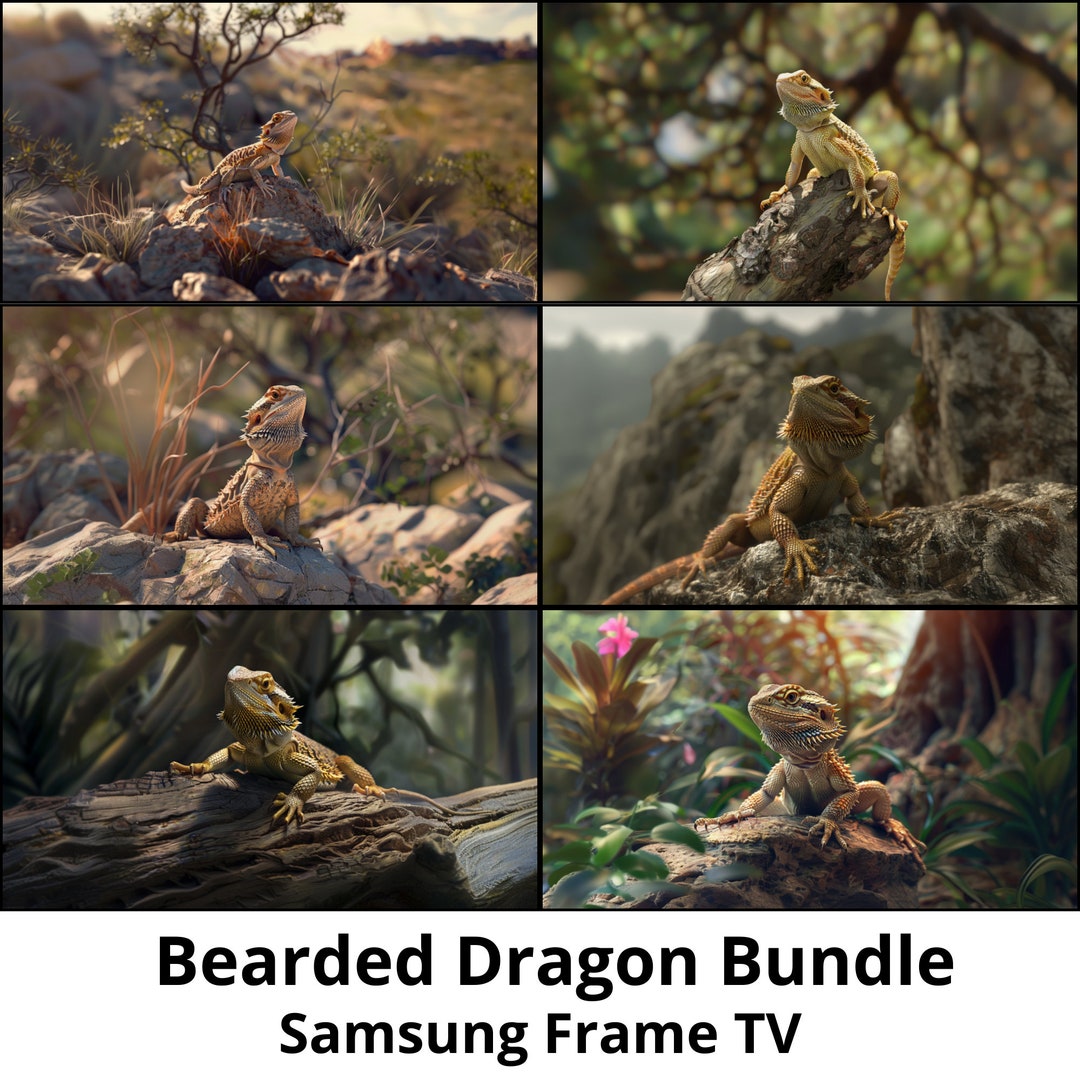 Samsung Frame TV Art Bearded Dragon Bundle | Digital Download Lizard ...