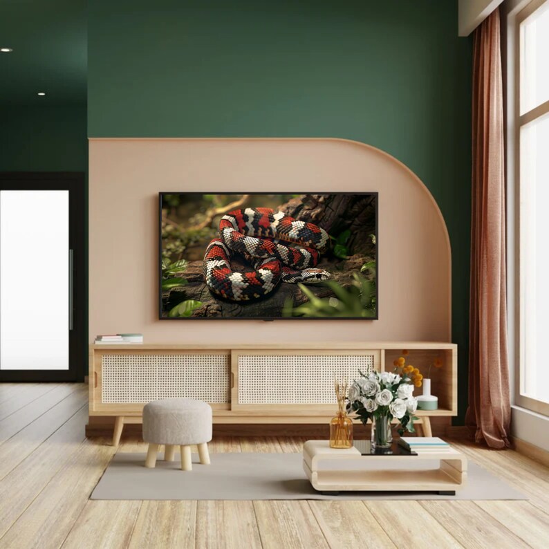 Samsung Frame TV | Snake 6 PNG Bundle | Digital Download | Western ...