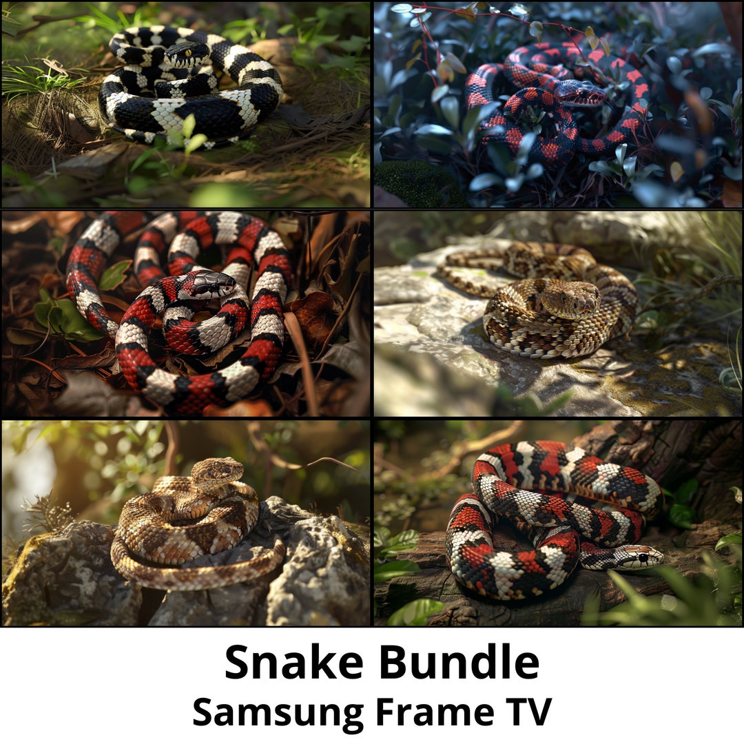 Samsung Frame TV | Snake 6 PNG Bundle | Digital Download | Western ...