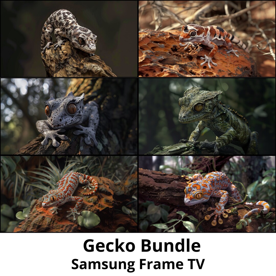 Samsung Frame TV | 6 Gecko Png's | Digital Download | African Fat ...