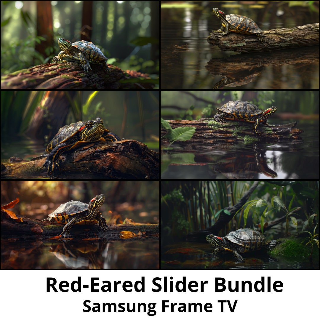 Samsung Frame TV | Red-eared Slider PNG Bundle | Digital Download | Red ...