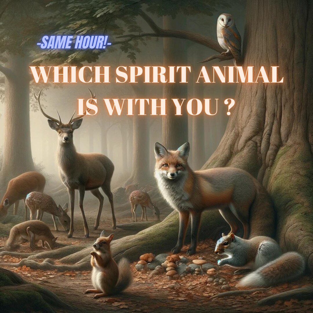 Spirit Animal Tarot Reading: Discover Your Guide (same Hour) - Etsy New ...