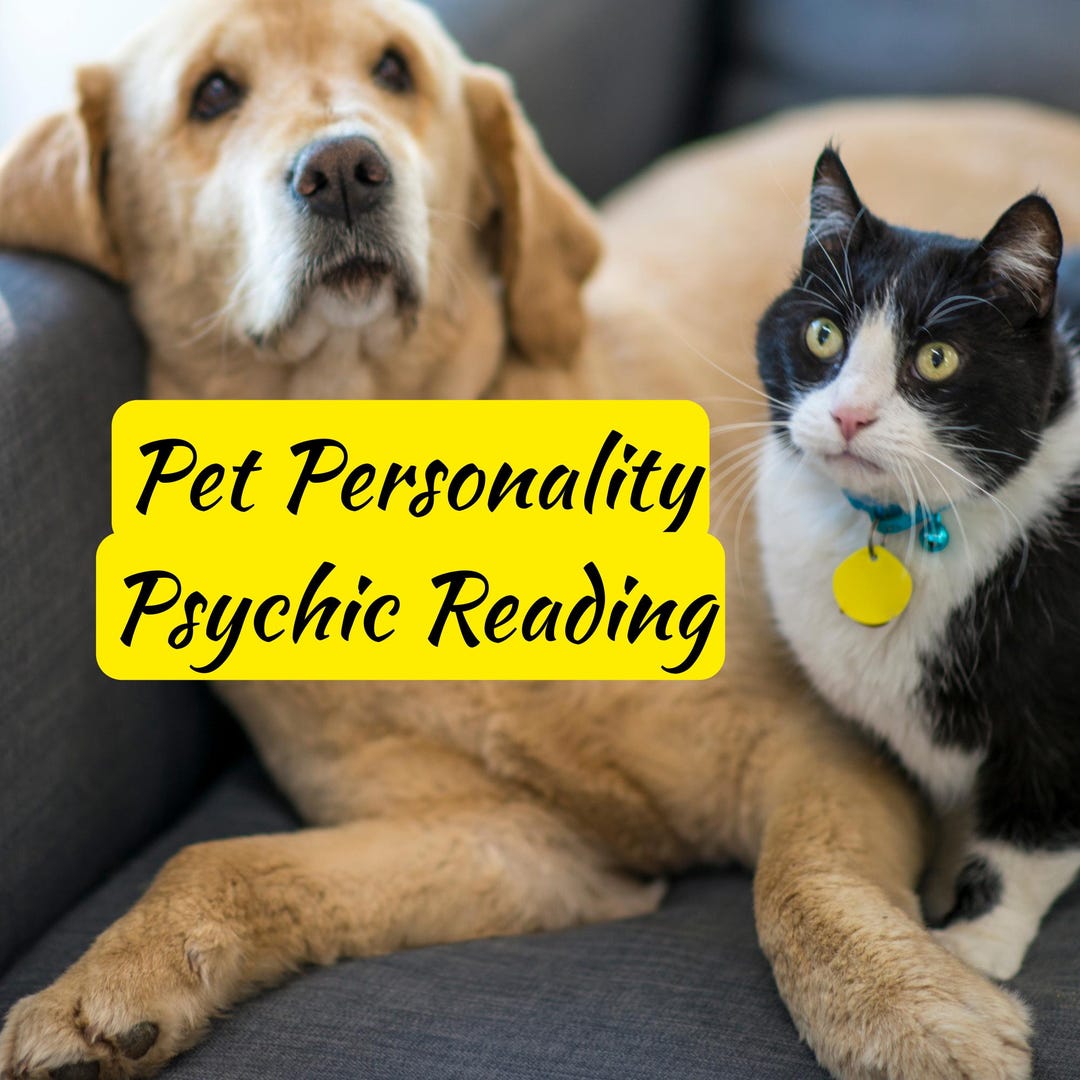 Pet Personality Psychic Reading, What’s Your Animal Companion Really ...