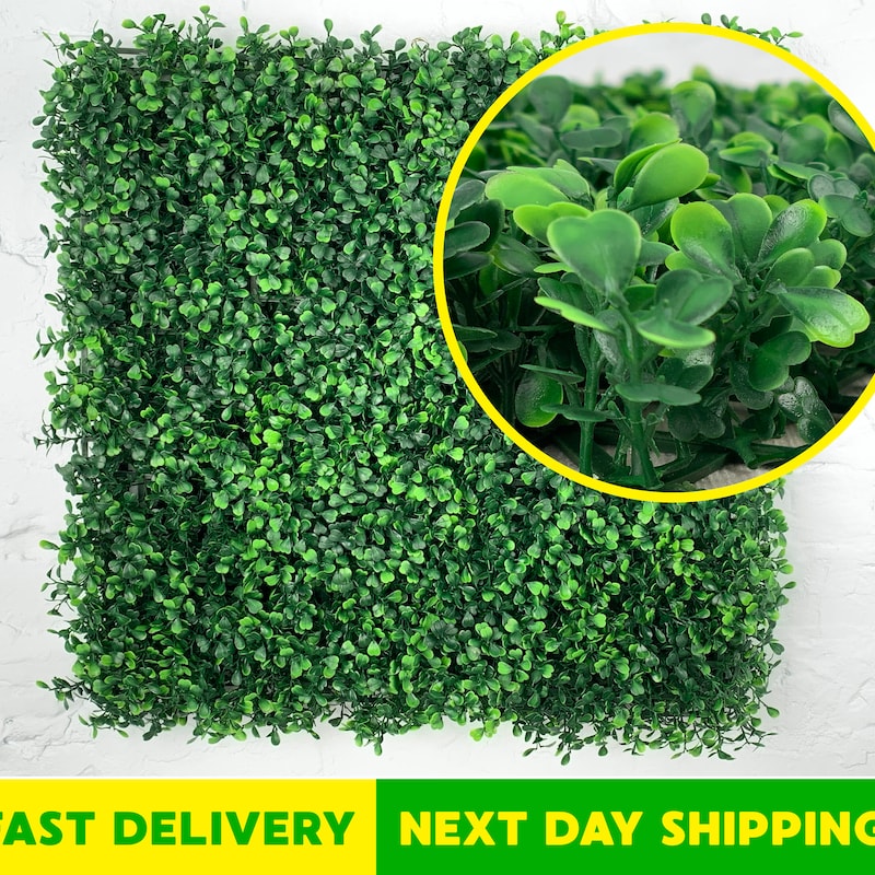 Green Grass Backdrop - Etsy