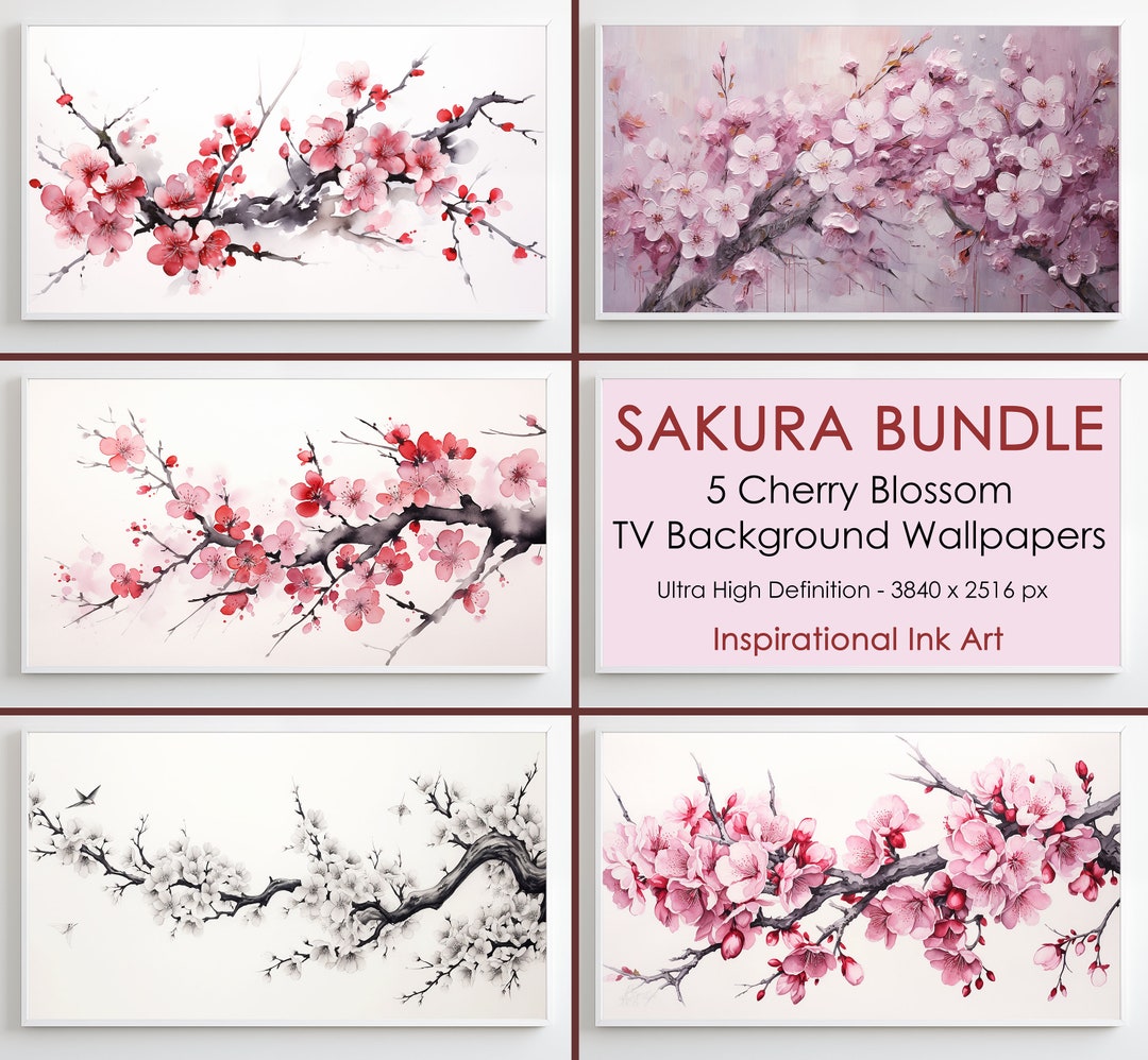 Pink Sakura, Pink Cherry Blossoms Bundle of 5 Digital TV Wallpaper ...