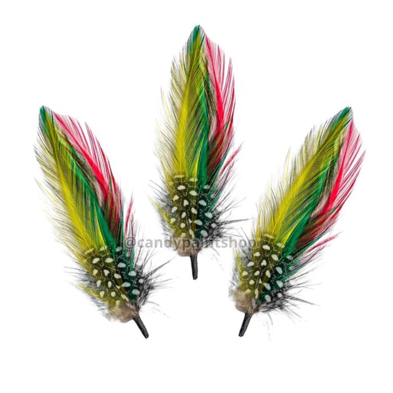 3 Feather Pack Stetson Lowrider Fedora Pachuco Cowboy Hat 4 Inch ...