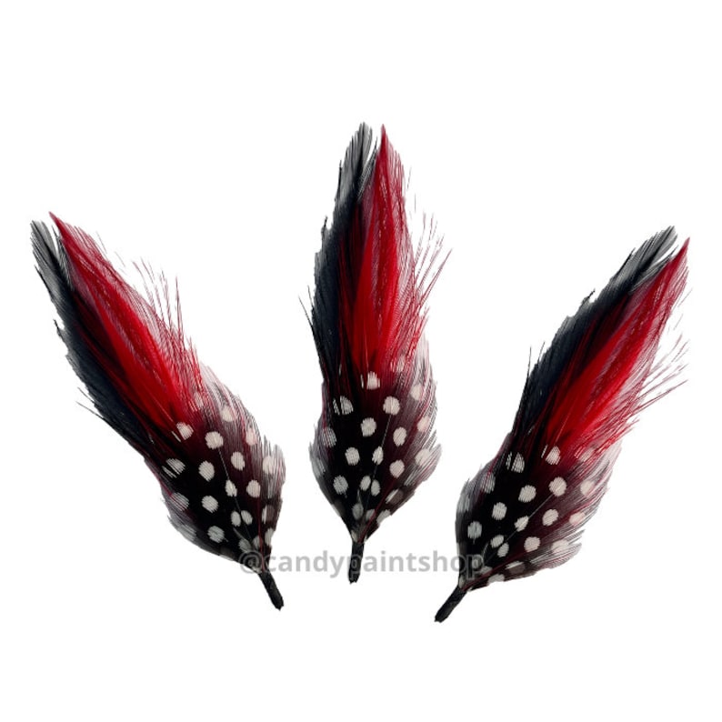 3 Feather Pack Stetson Lowrider Fedora Pachuco Cowboy Hat 4 Inch ...