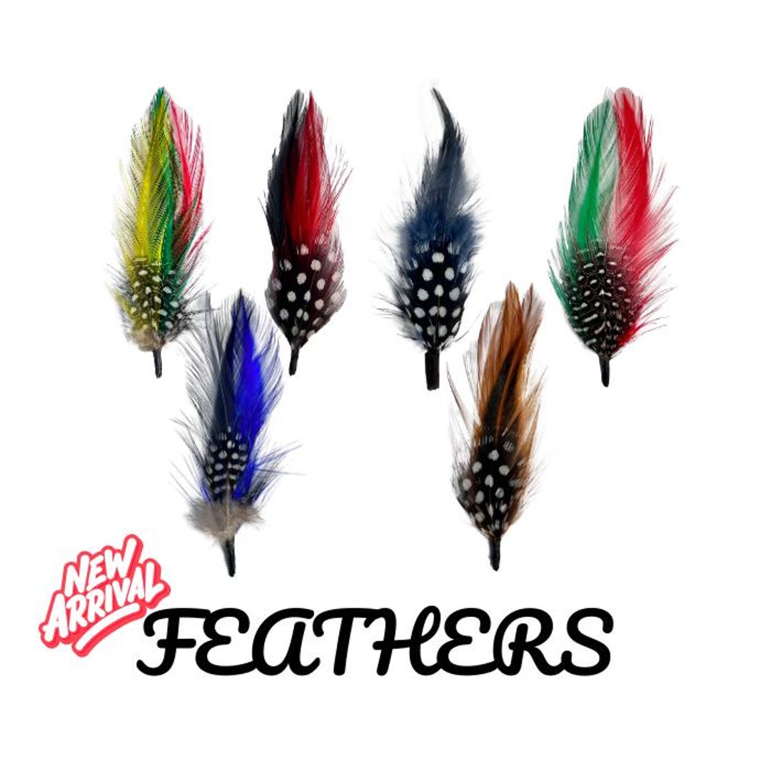 NEW Feather Pack & 1 Single Feather Pluma Classic Stetson Lowrider ...