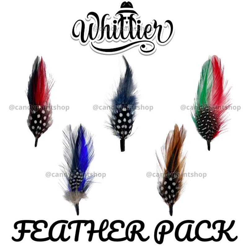 5 Feather Pack Stetson Lowrider Fedora Pachuco Cowboy Hat Hatband ...