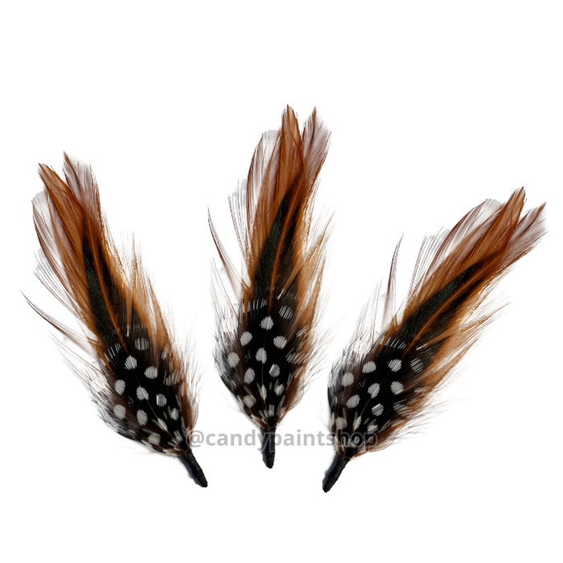 3 Feather Pack Stetson Lowrider Fedora Pachuco Cowboy Hat 4 Inch ...