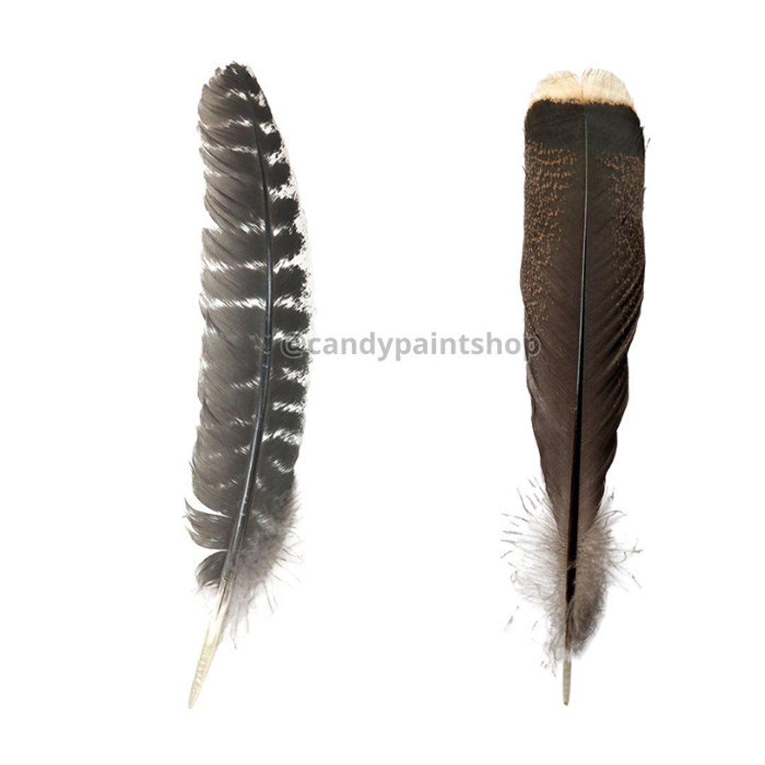 10-12 Inch Natural Turkey Bundle Feathers Stetson Fedora Cowboy Hat ...