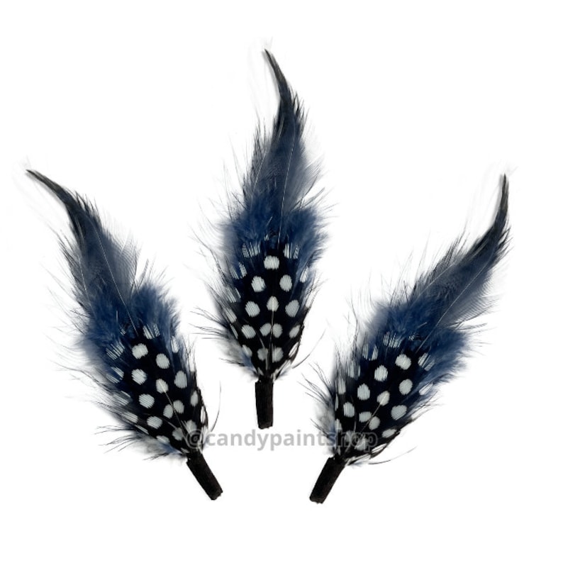 3 Feather Pack Stetson Lowrider Fedora Pachuco Cowboy Hat 4 Inch ...