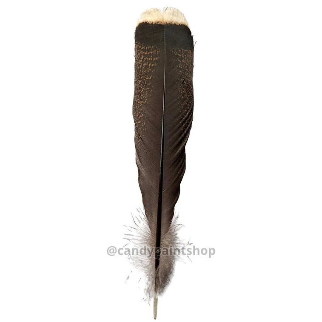 10-12 Inch Natural Turkey Square Feathers Stetson Fedora Cowboy Hat ...