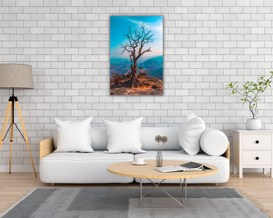 Tree Wall Art, Nature Photography Digital Wall Art, Dead Tree Wall ...