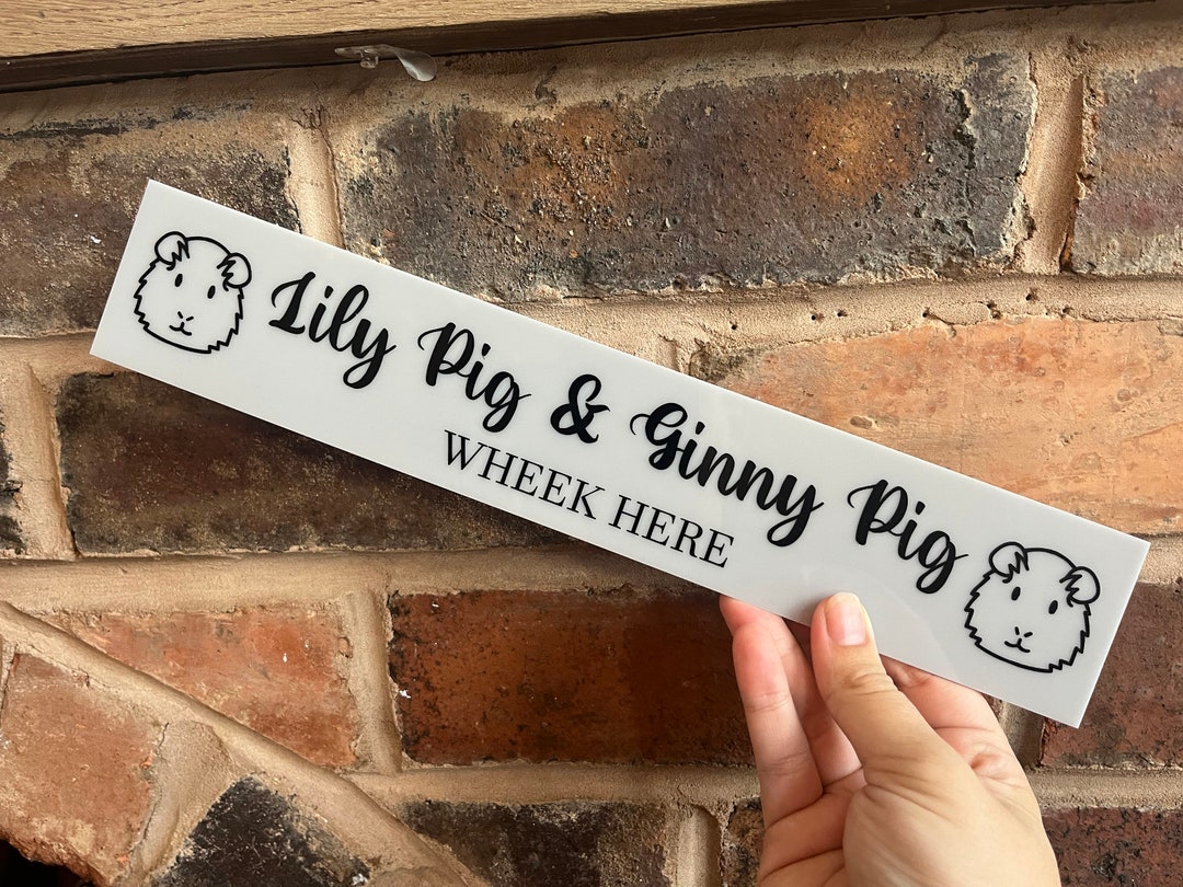 Personalised Guinea Pig Acrylic Hutch Sign Welcome - Etsy