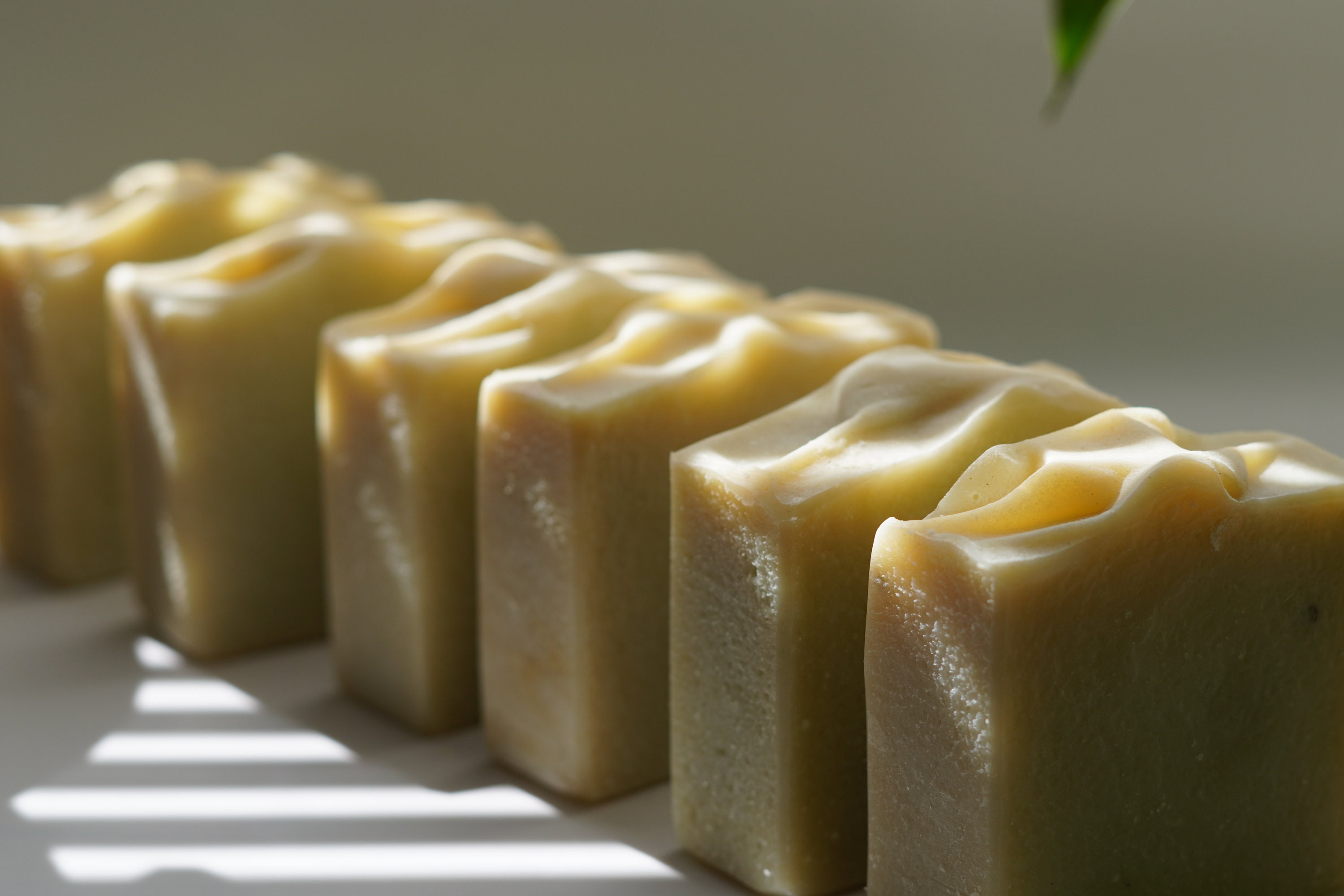 Tea Tree and Eucalyptus Soap Bar, Handmade Soap, All Natural Soap ...