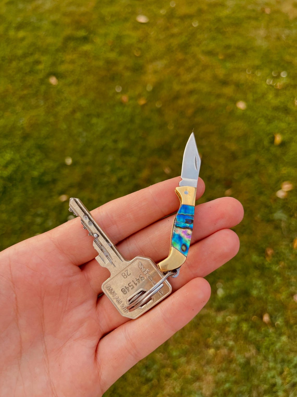 Mini Pocket Knife Shell Dark Blue Keychain Stainless Steel Japanese ...