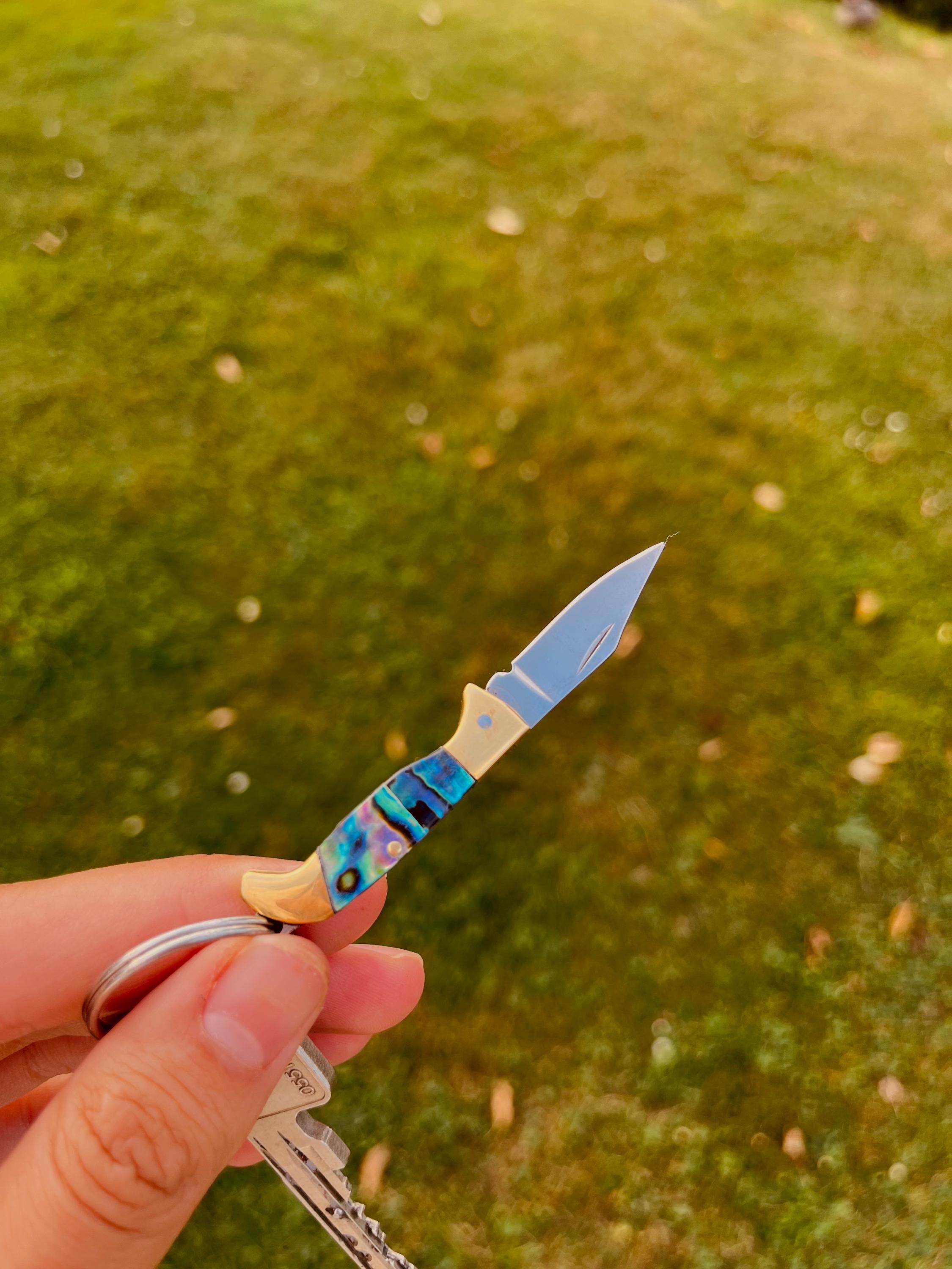 Mini Pocket Knife Shell Dark Blue Keychain Stainless Steel Japanese ...