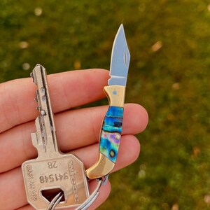 Mini Pocket Knife Shell Dark Blue Keychain Stainless Steel Japanese ...