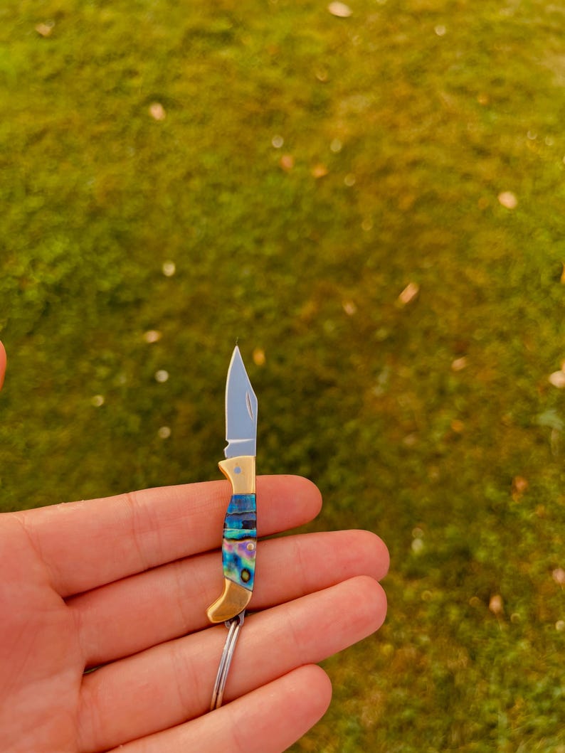 Mini Pocket Knife Shell Dark Blue Keychain Stainless Steel Japanese ...